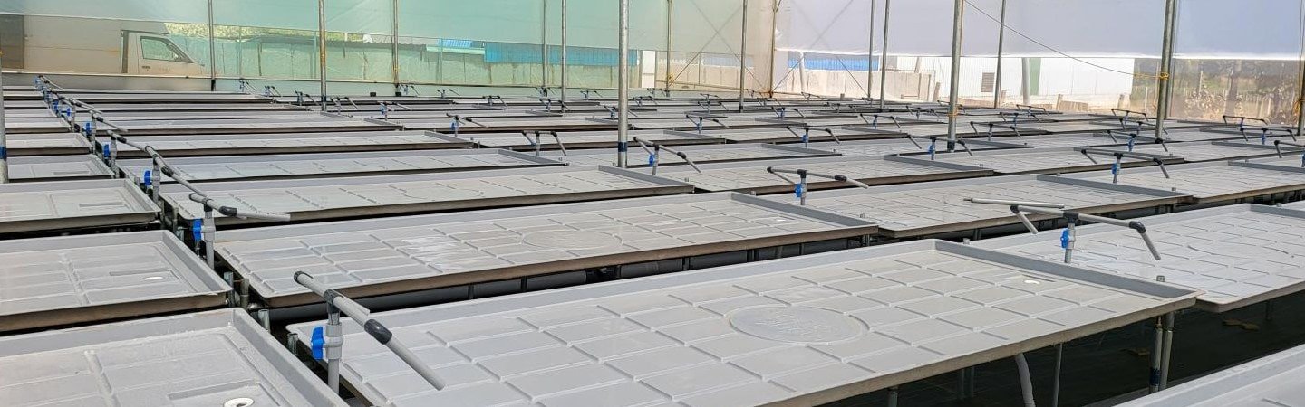 Hydroponics