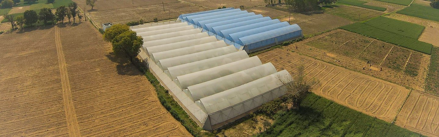 Guide to Starting Your Polyhouse Farming Journey