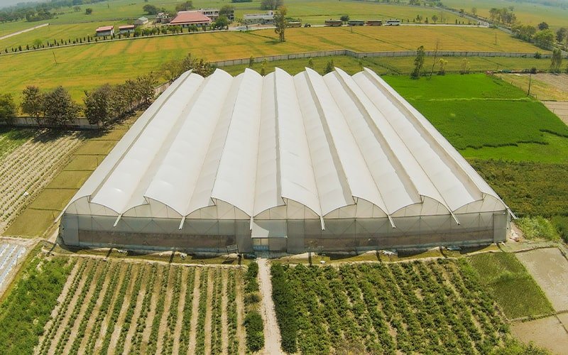Naturally Ventilated Polyhouse